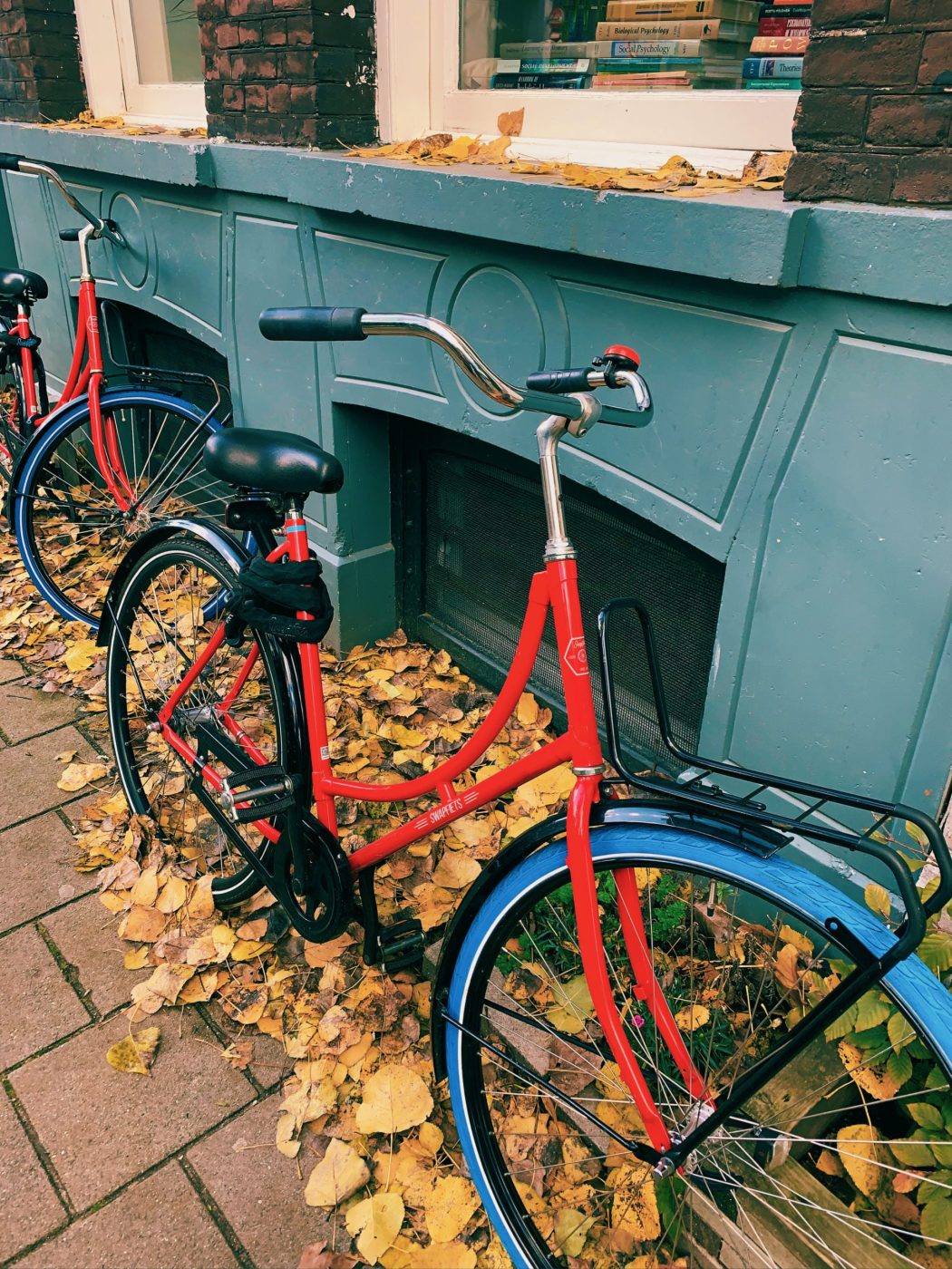 Beach Cruiser - Pacific Beach | Ray's Rentals